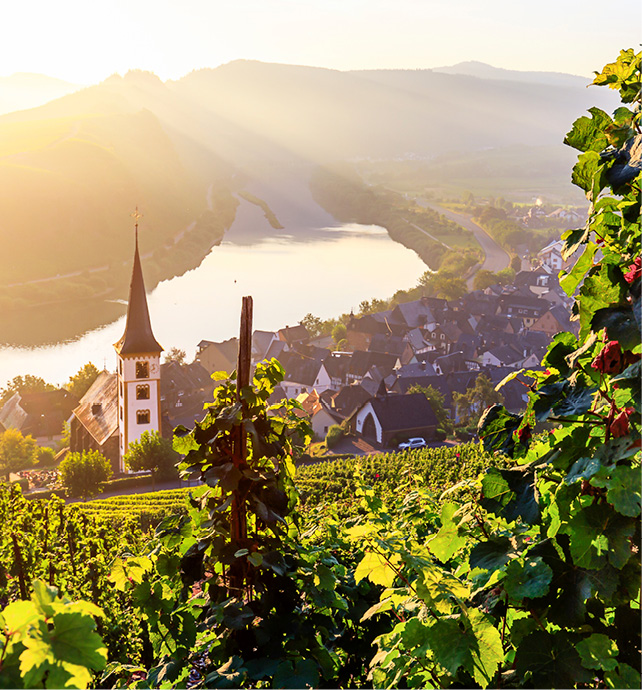 The History of Riesling Wine | Emerald Cruises